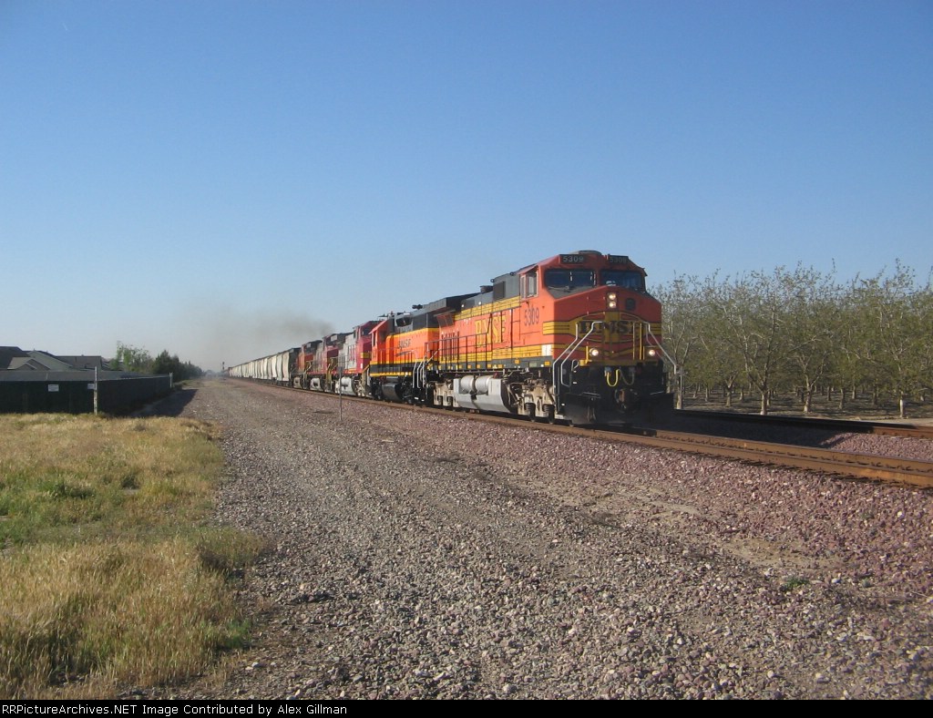 BNSF 5309 West